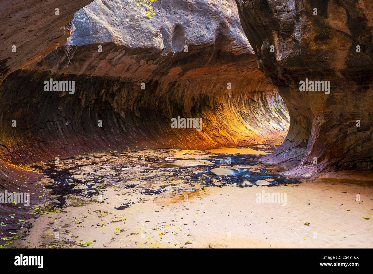 View of the Left Fork of the North Creek, also known as The Subway ...