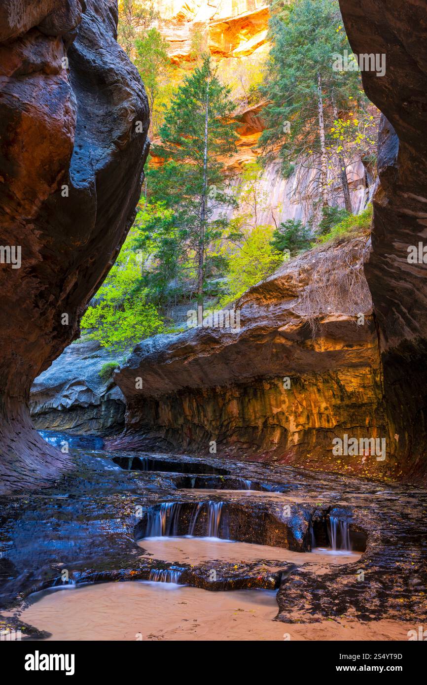 View of the Left Fork of the North Creek, also known as The Subway ...