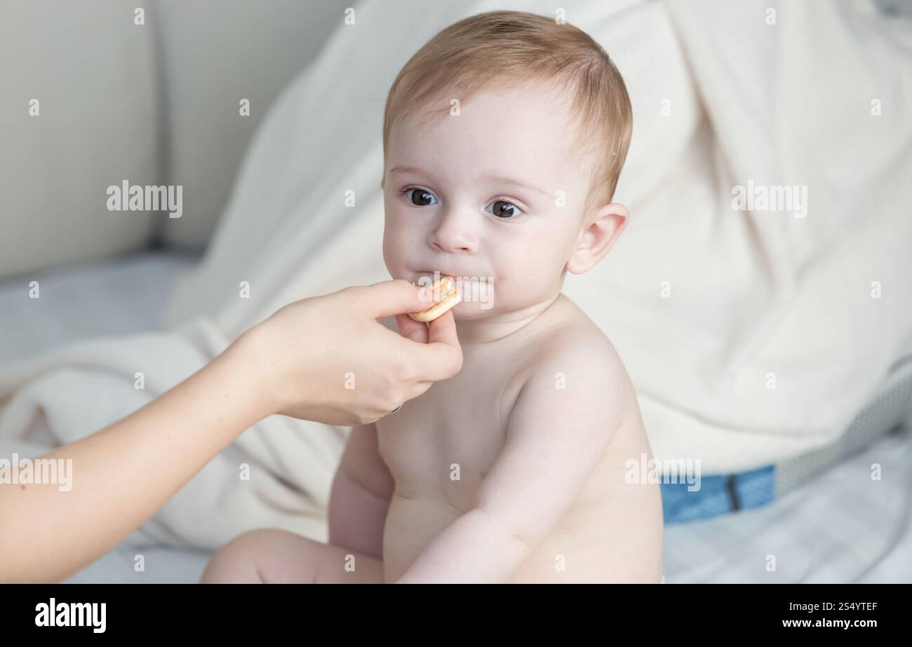 Mothers hand giving her baby son a biscuit Stock Photo - Alamy