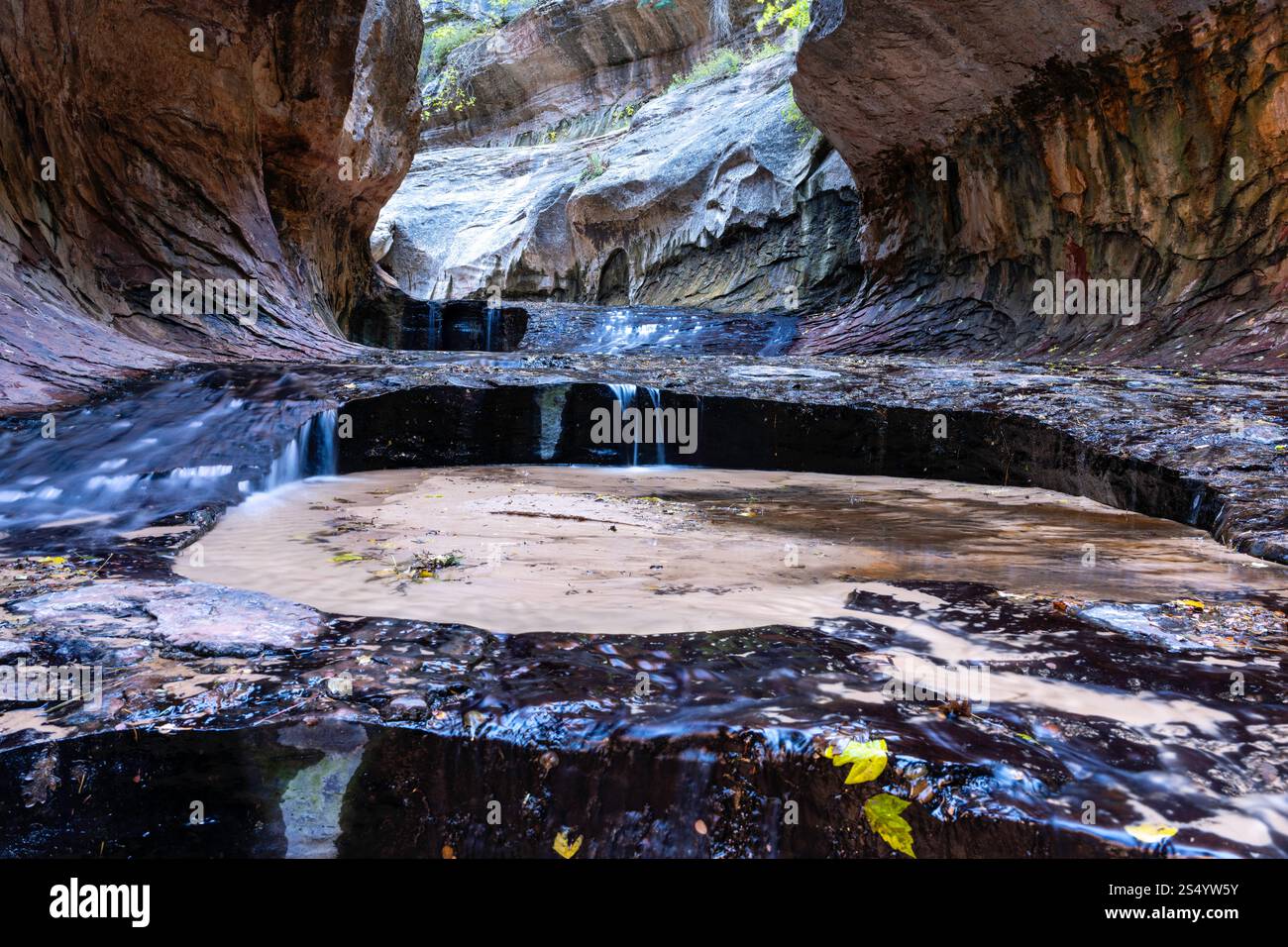 View of the Left Fork of the North Creek, also known as The Subway ...