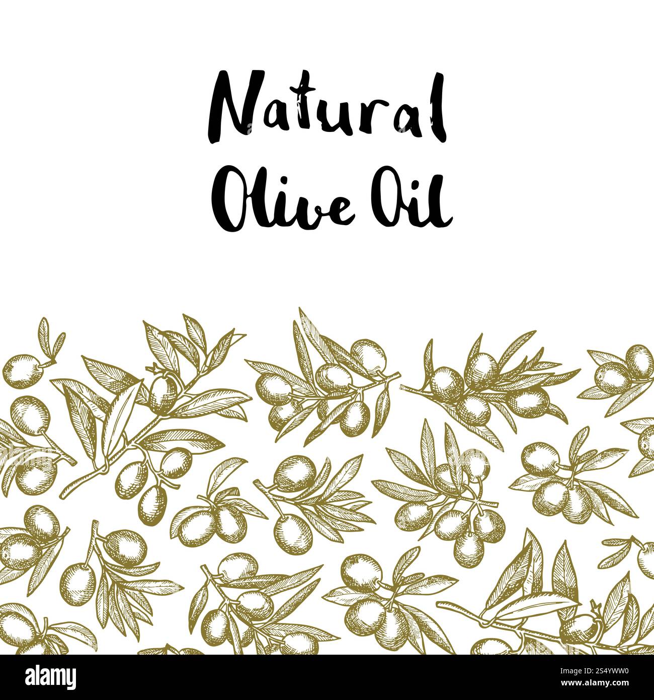 Vector hand drawn olive branches background with place for text ...