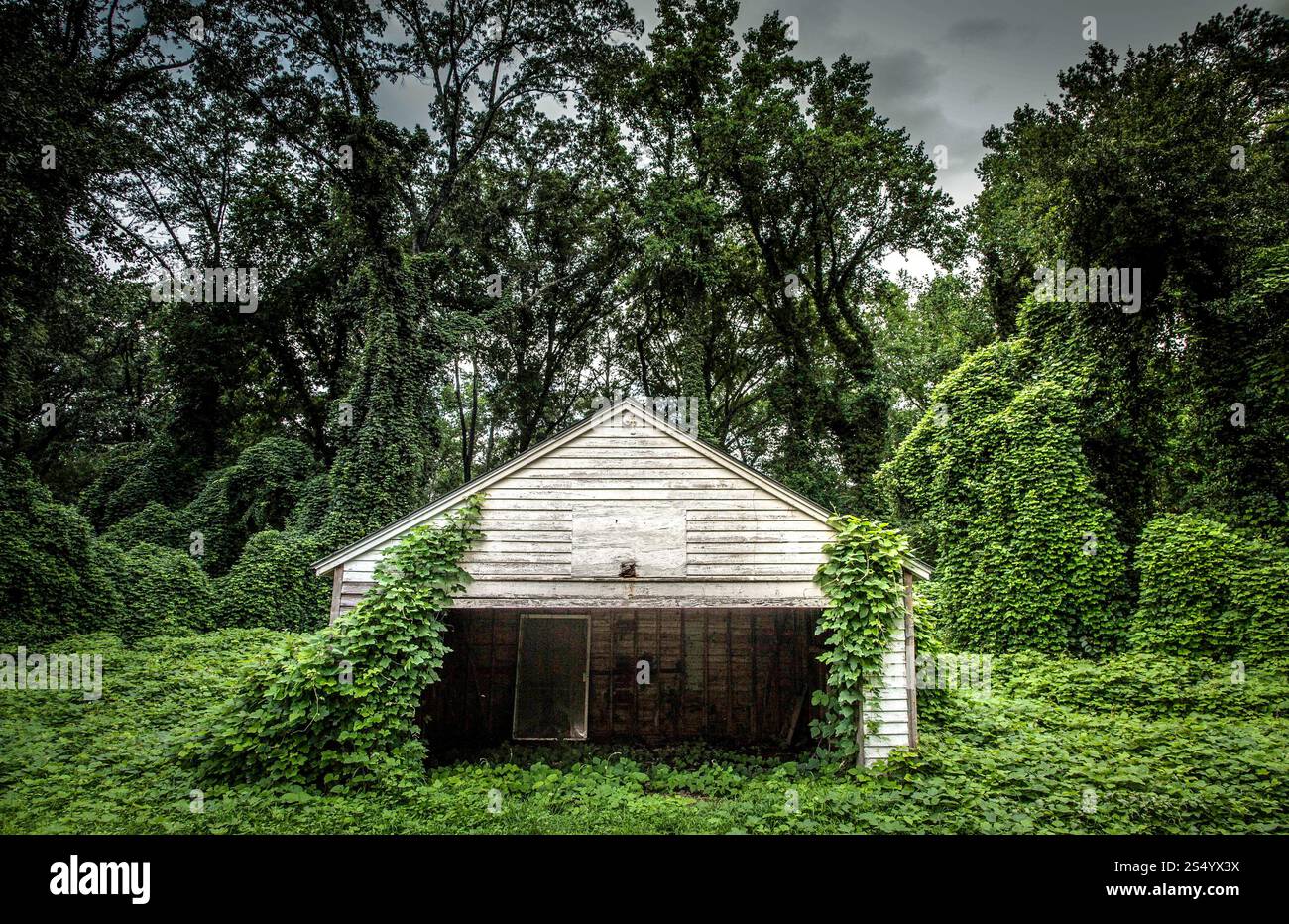 Southern Charm Building Covered in Kudzu Stock Photo - Alamy