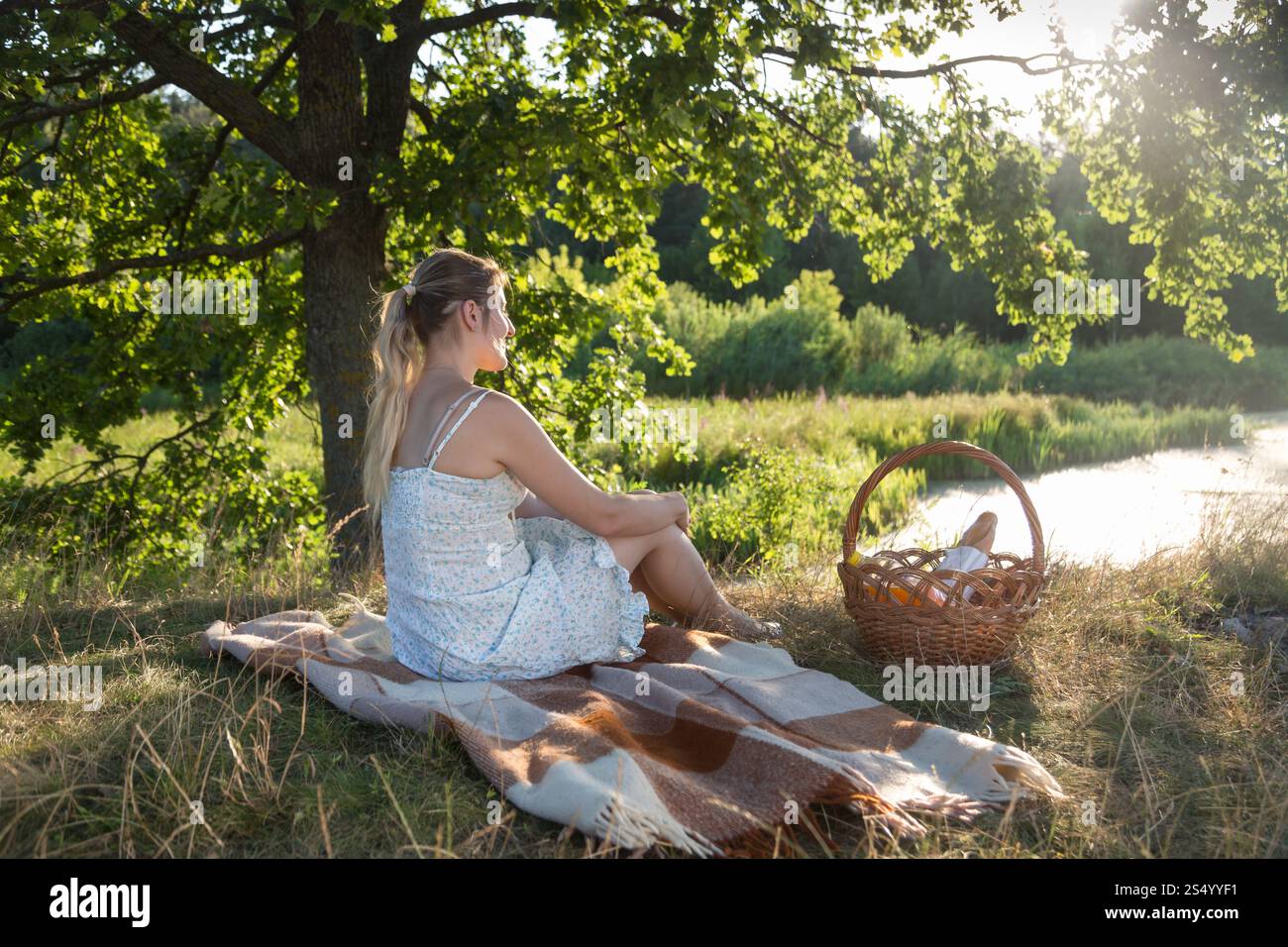 Toned image of beautiful lonely woman relaxing under big tree Stock ...
