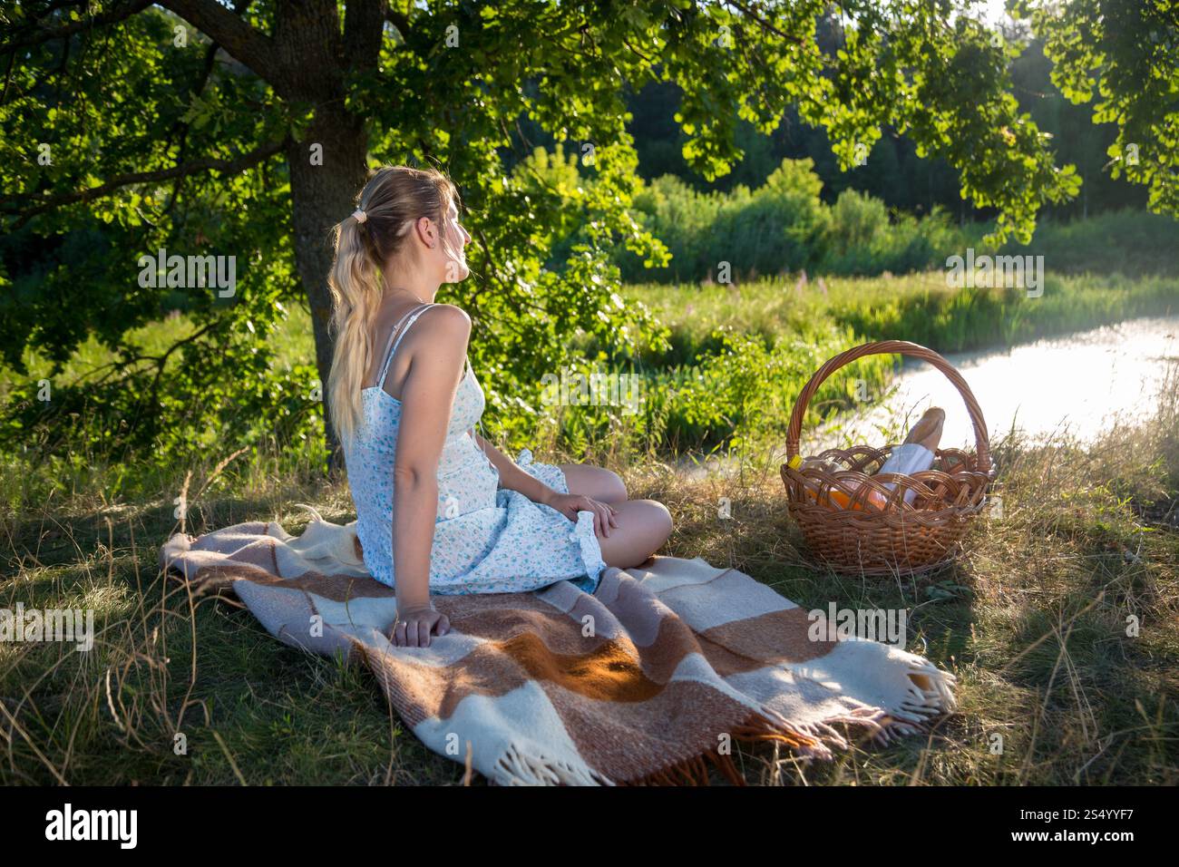 Young woman sitting under big tree at field and looking at lake Stock ...