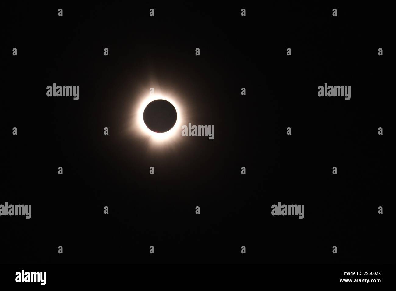 Total Eclipse of the Sun in the path of totality, April 8, 2024. Images ...