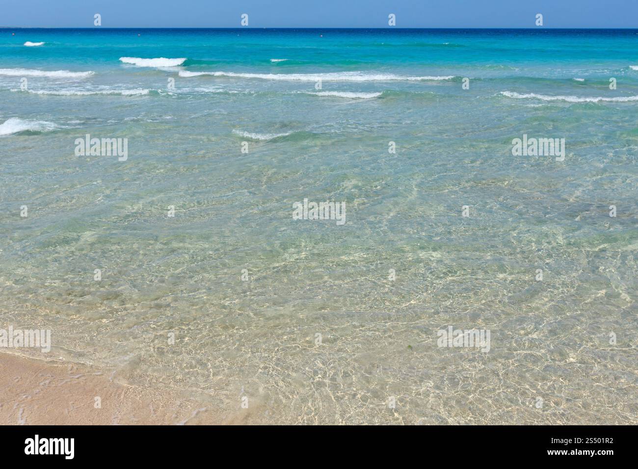 Beautiful sea surf, summer seascape view from sandy beach Stock Photo ...