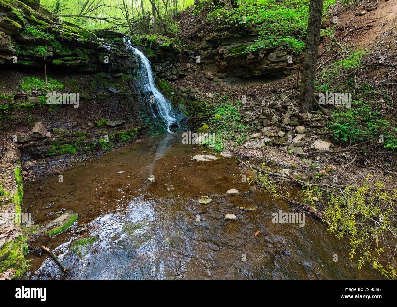 Rusyliv cascading waterfalls spring view (on the Rusyliv river in the ...