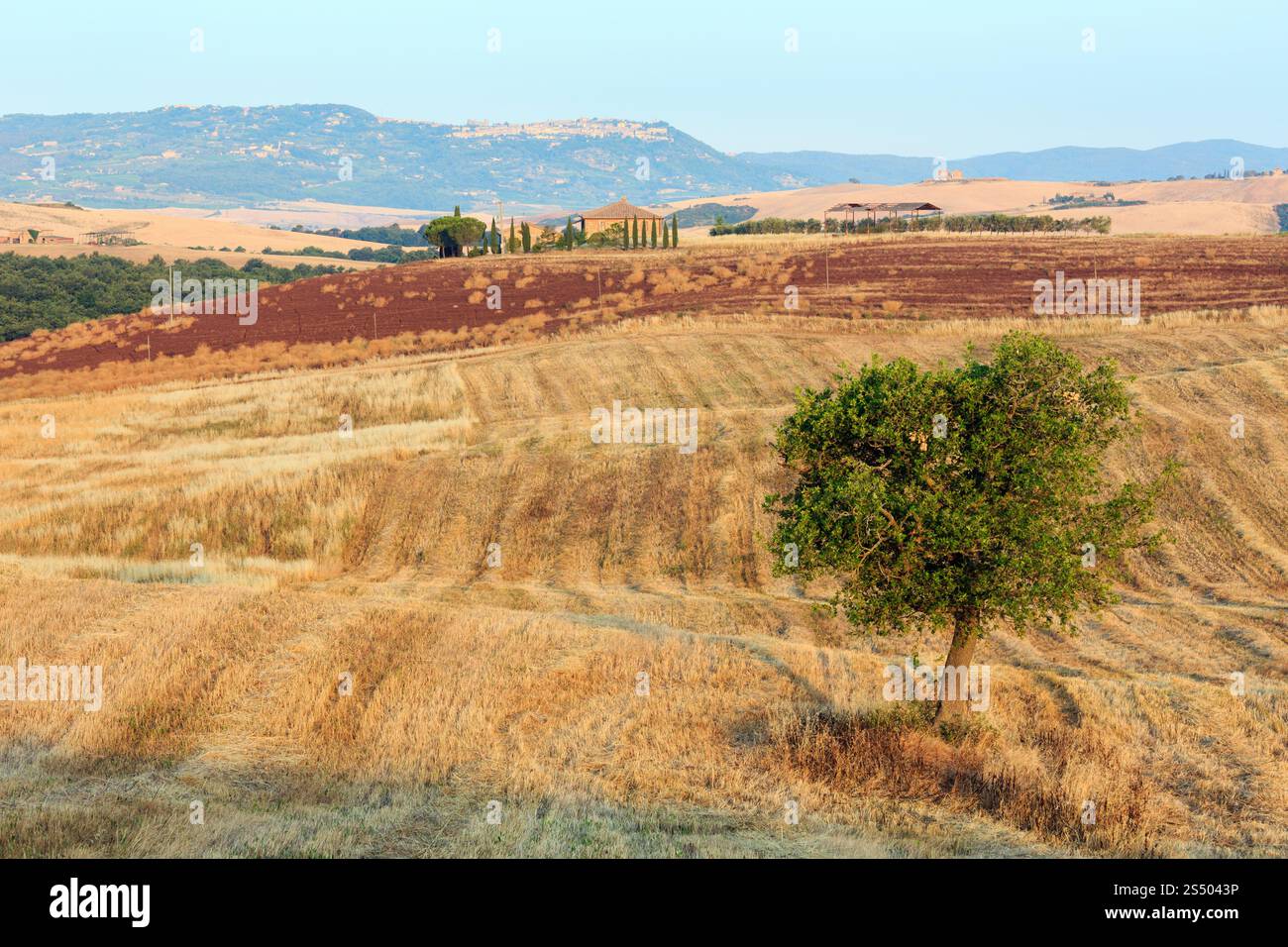 Beautiful landscape of Tuscany summer morning sunrise countryside in ...
