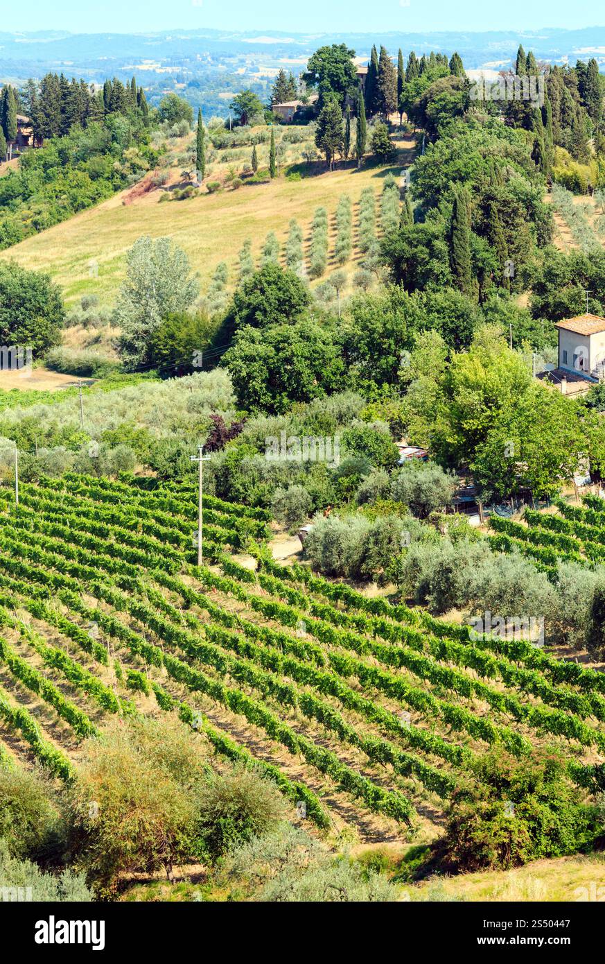 Beautiful Tuscany summer countryside landscape from San Gimignano town ...
