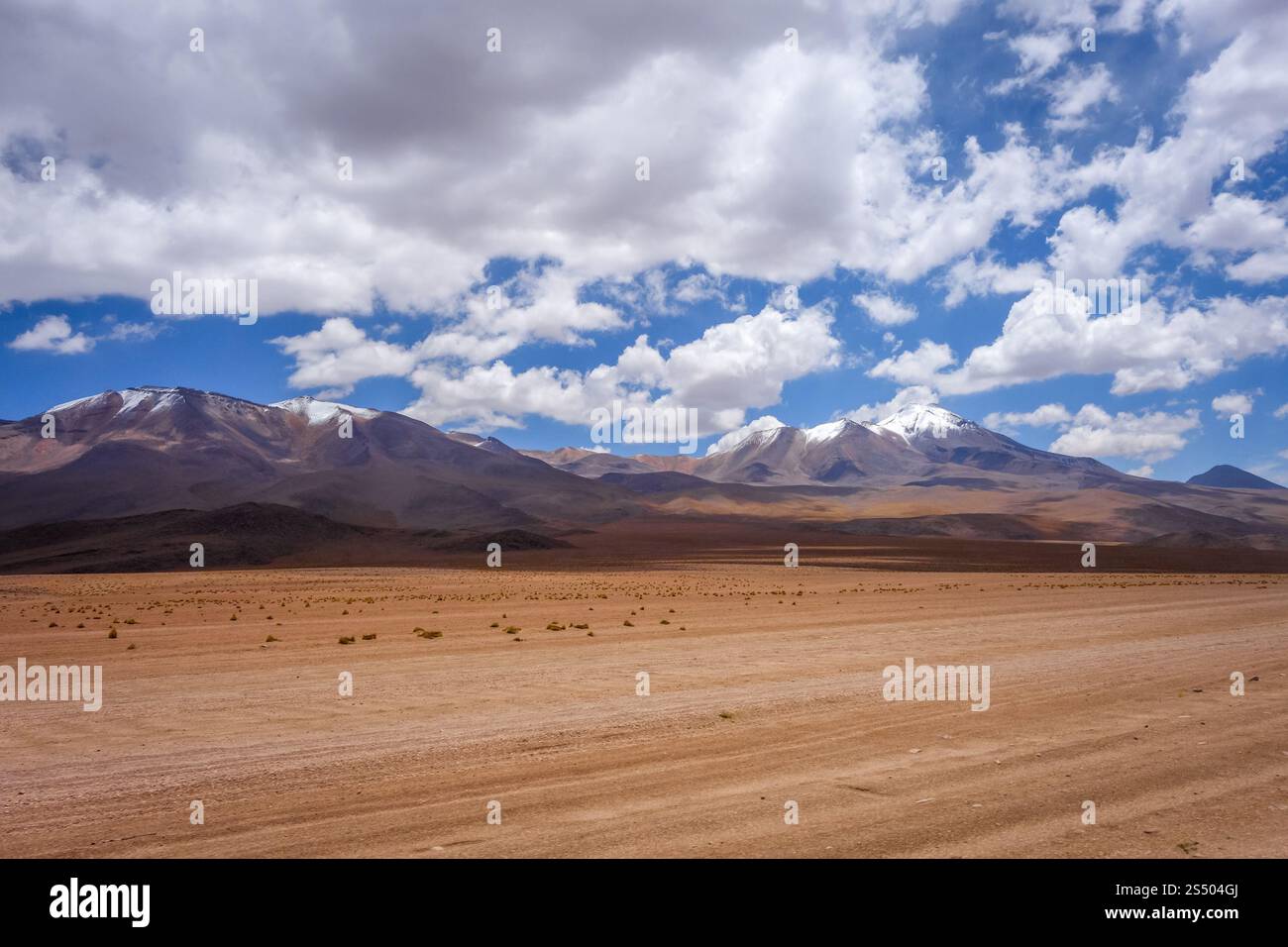 Altiplano mountains in sud Lipez reserva Eduardo Avaroa, Bolivia ...