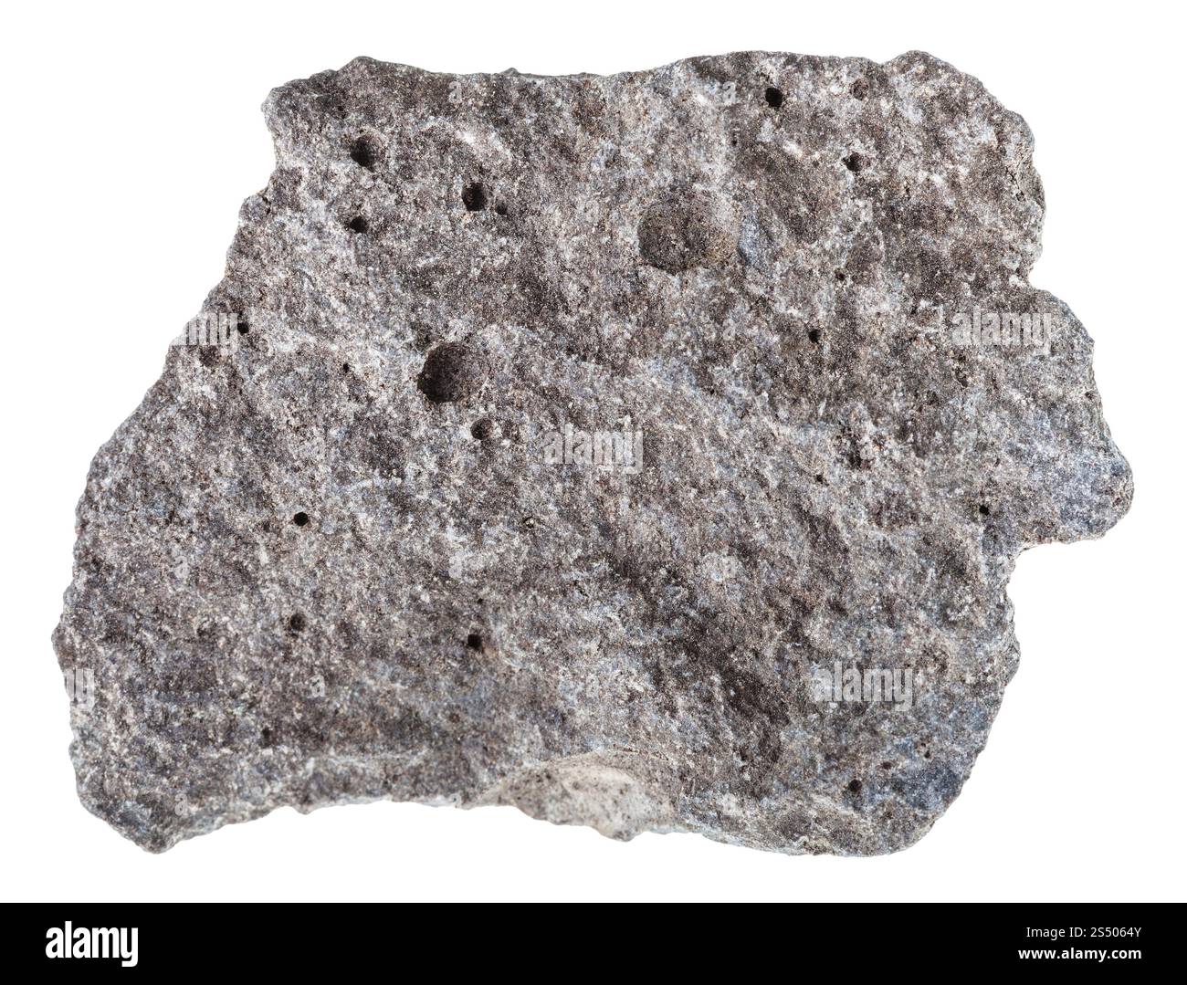 macro shooting of specimen of natural igneous rock - piece of porous basalt stone isolated on ...