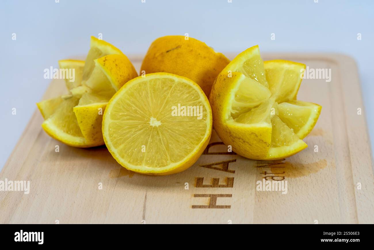 Photography themed designs hi-res stock photography and images - Alamy