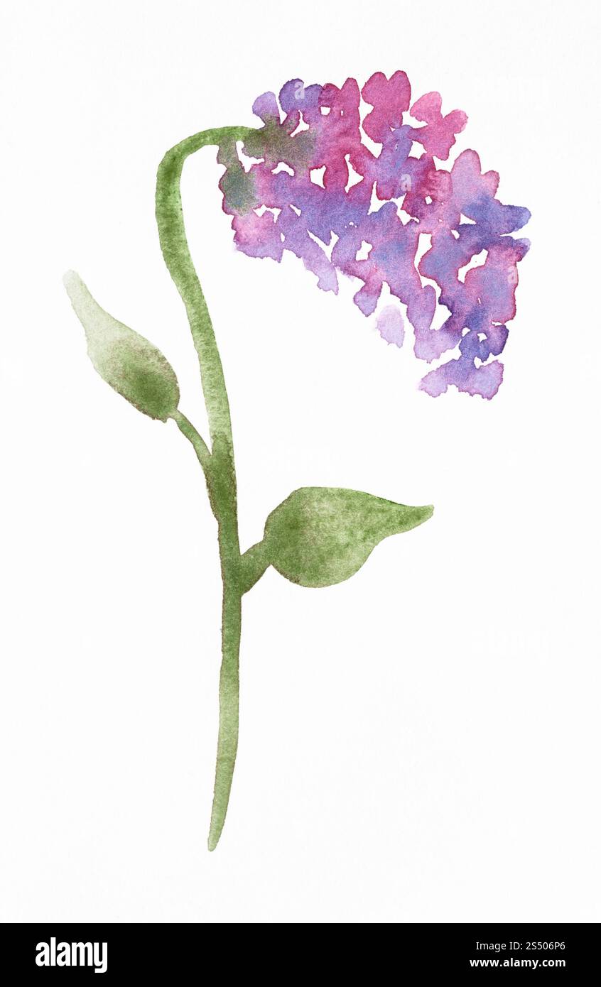 training drawing in suibokuga sumi-e style with watercolor paints ...