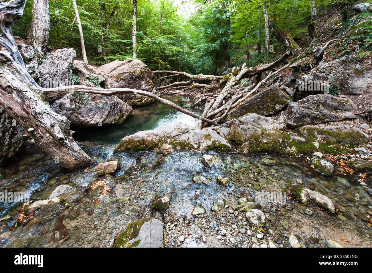 travel to Crimea - view of Ulu-Uzen river in Haphal Gorge of Habhal Hydrological Reserve natural ...