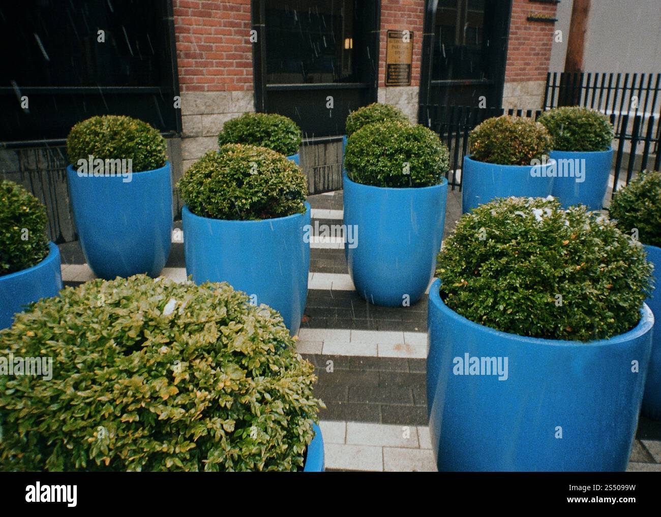 Glowing hedges hi-res stock photography and images - Alamy