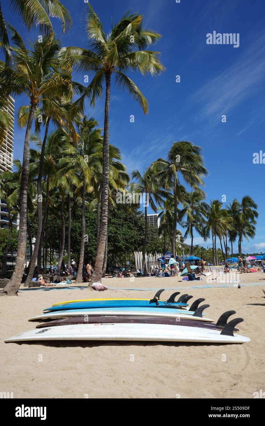 Clear blue hawaiian ocean hi-res stock photography and images - Alamy