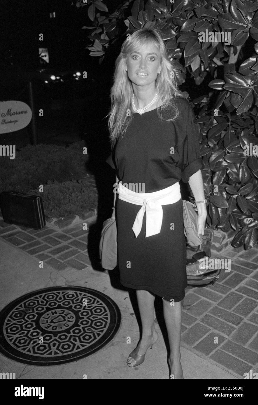 Susan george 1980s hi-res stock photography and images - Alamy