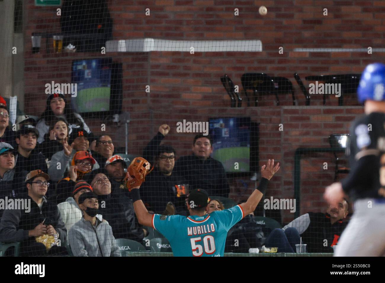 HERMOSILLO, MEXICO - JANUARY 11: Agustin Murillo ,during game 1 of the ...