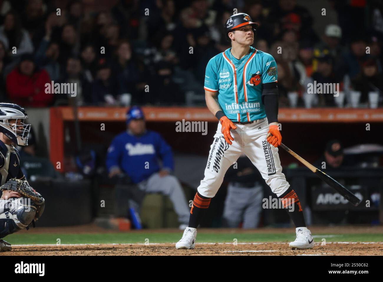 HERMOSILLO, MEXICO - JANUARY 11: Jose Cardona ,during game 1 of the ...