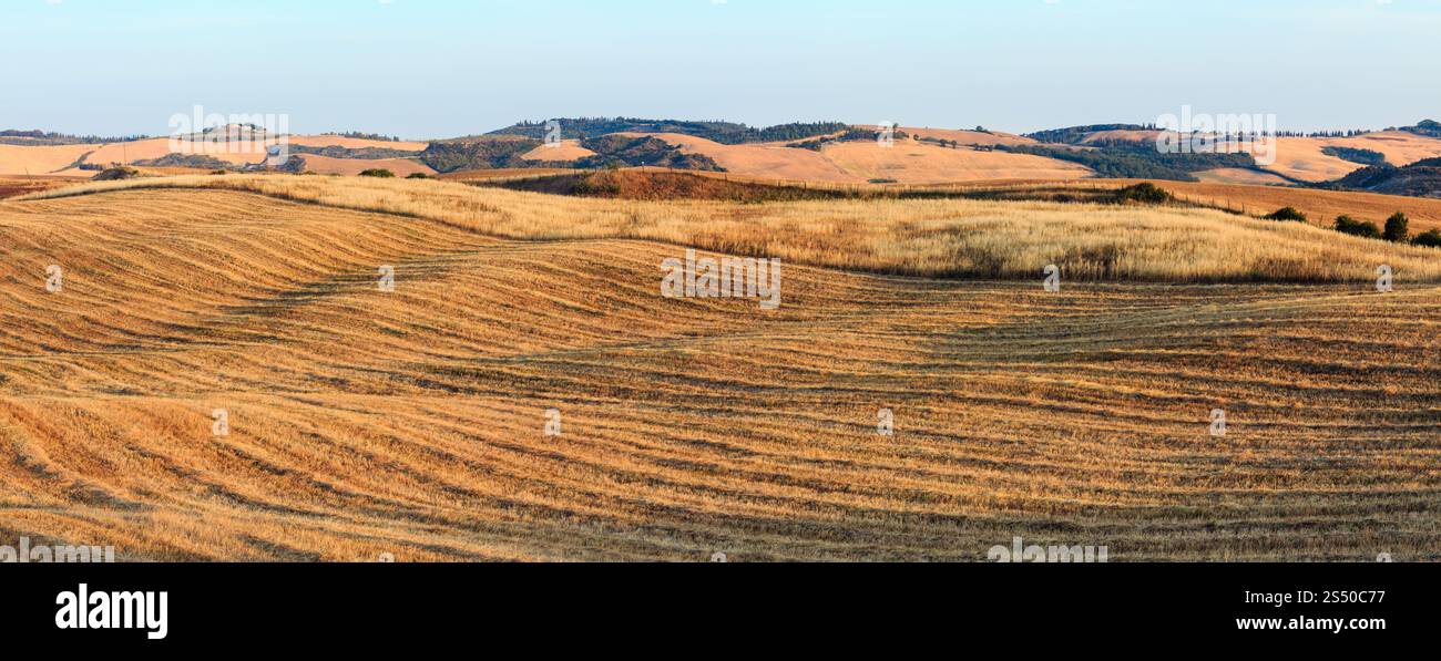 Beautiful landscape of Tuscany summer morning sunrise countryside in ...
