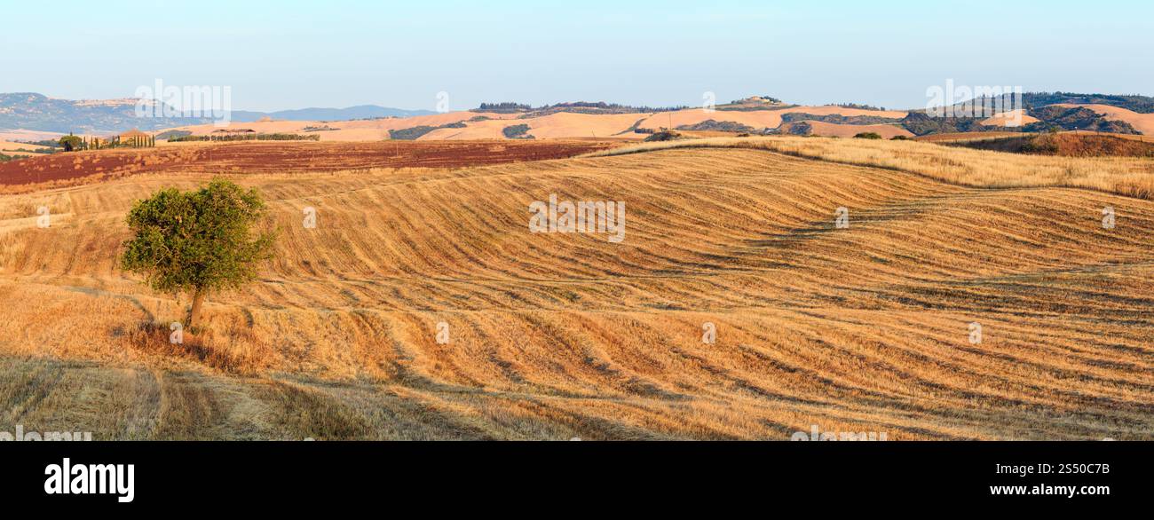 Beautiful landscape of Tuscany summer morning sunrise countryside in ...