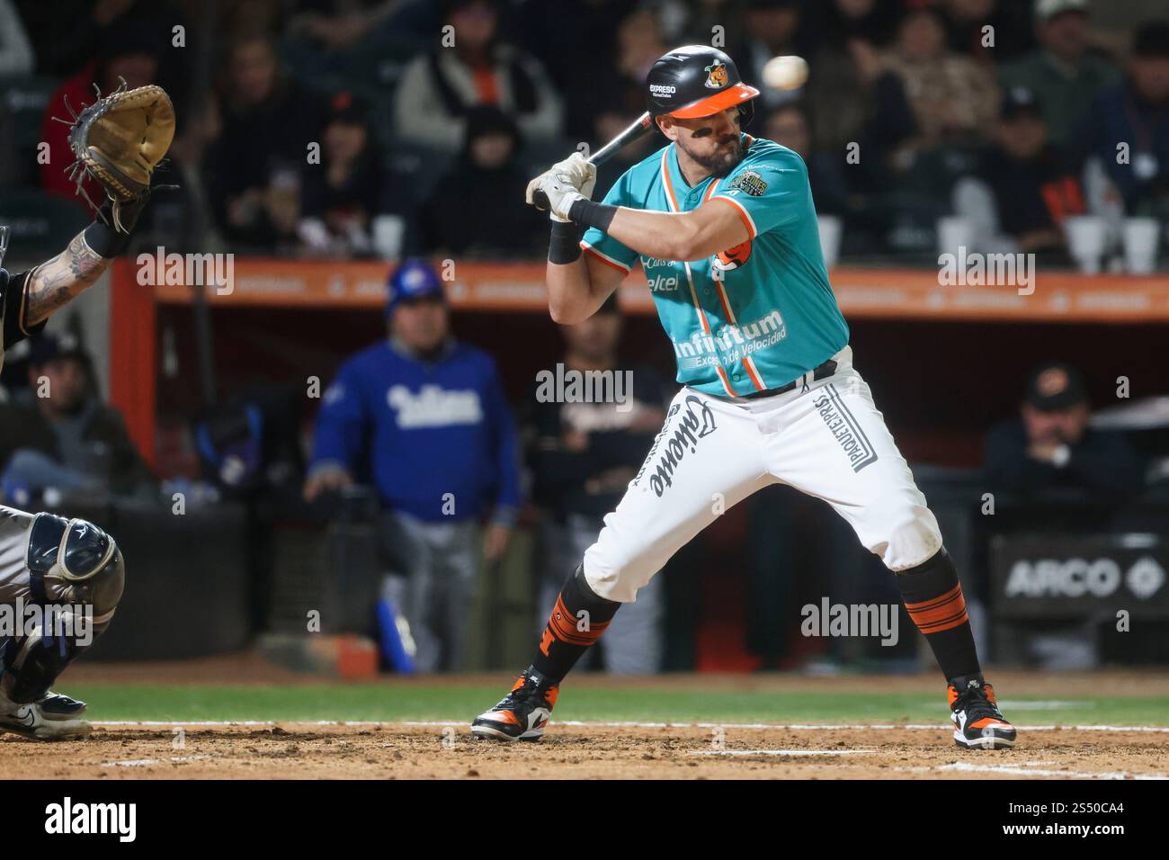 HERMOSILLO, MEXICO - JANUARY 11: Agustin Murillo ,during game 1 of the ...