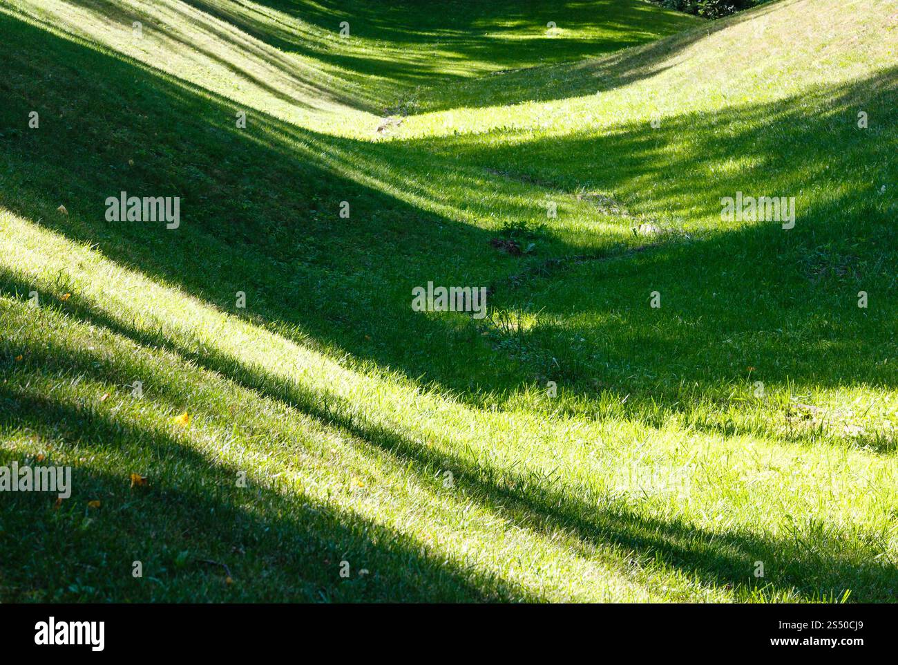 Perfect green grass lawn on landscape designed summer park hollow ...