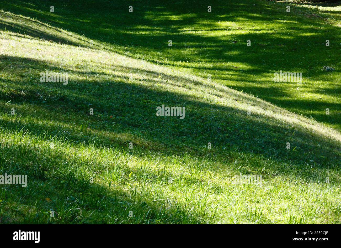 Perfect green grass lawn on landscape designed summer park hollow ...
