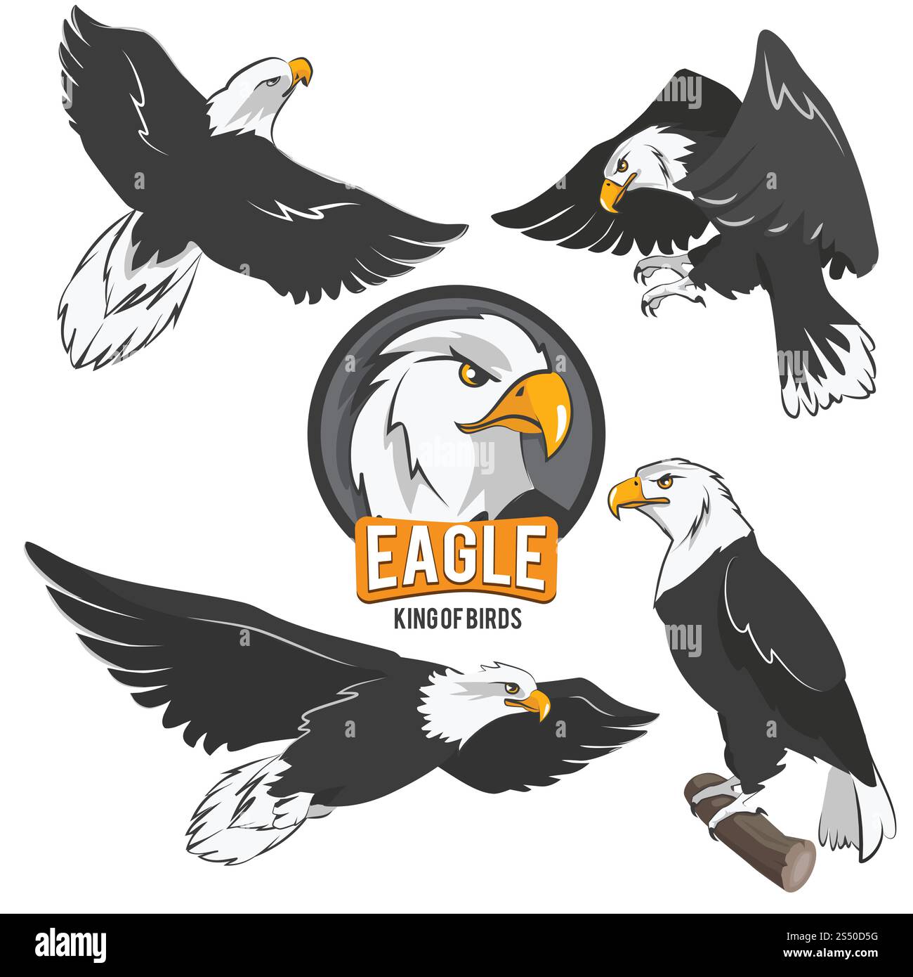 Set of cartoon eagles in different action poses. Vector eagle animal ...