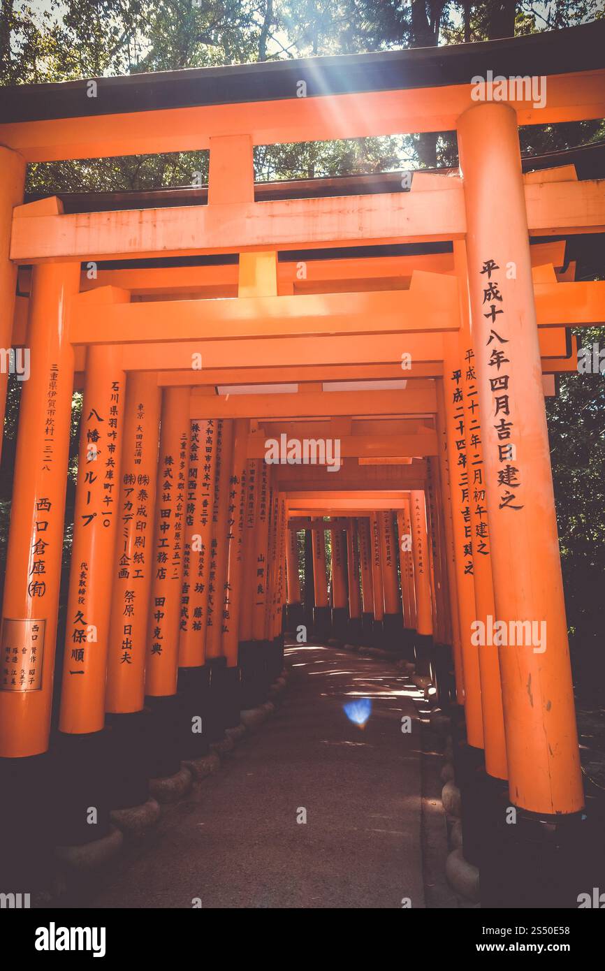Fushimi Inari Taisha torii shrine, Kyoto, Japan. Fushimi Inari Taisha ...