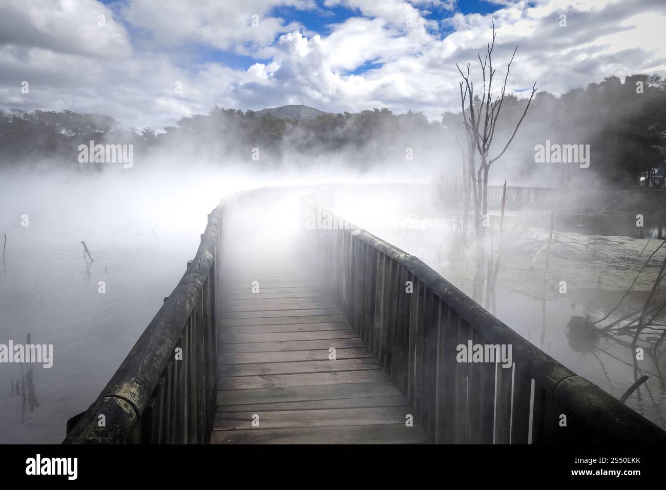 Bridge on a misty lake in Rotorua volcanic area, New Zealand. Bridge on ...