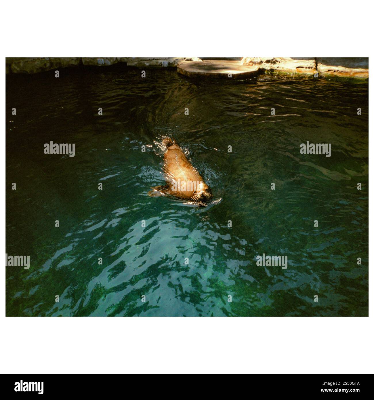 Beautiful rocky island Cut Out Stock Images & Pictures - Alamy