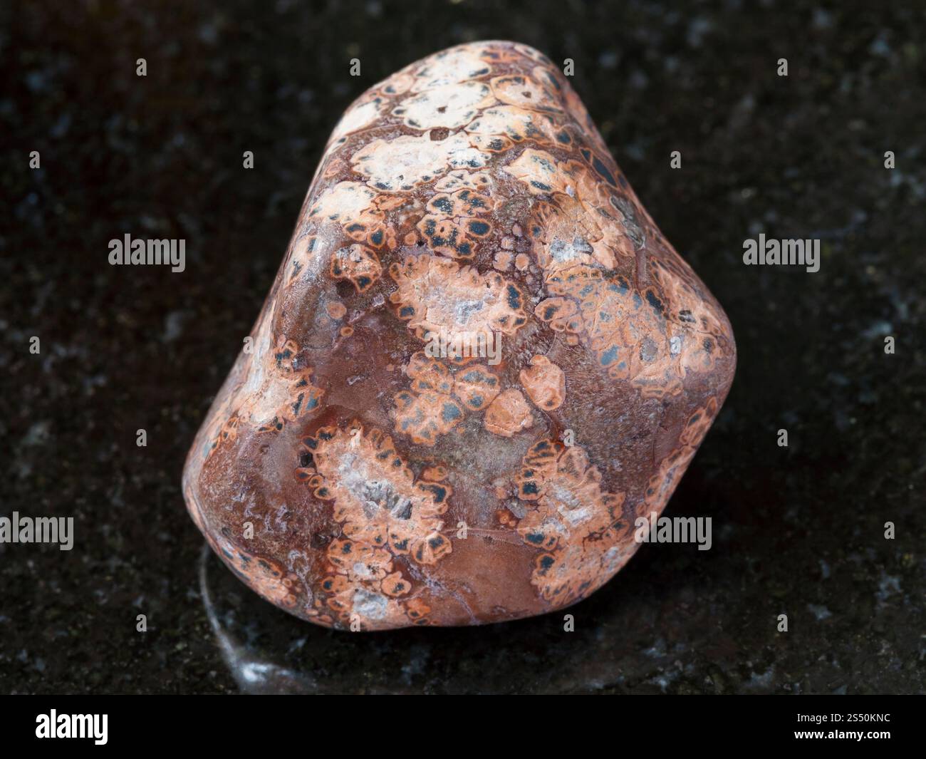macro shooting of natural mineral rock specimen - tumbled leopardskin ...