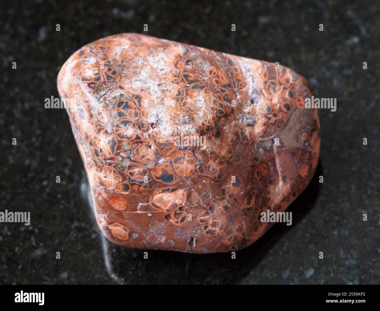 macro shooting of natural mineral rock specimen - polished leopardskin ...