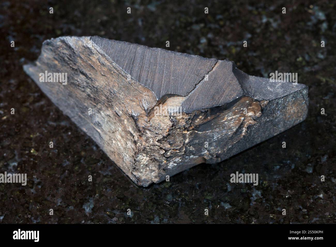 macro shooting of natural mineral rock specimen - raw Gagate (Jet ...