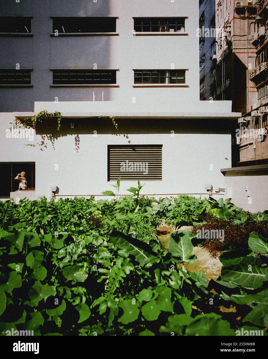 Hong Kong, China - Rooftop of shopping mall The Mills. The Mills is a ...