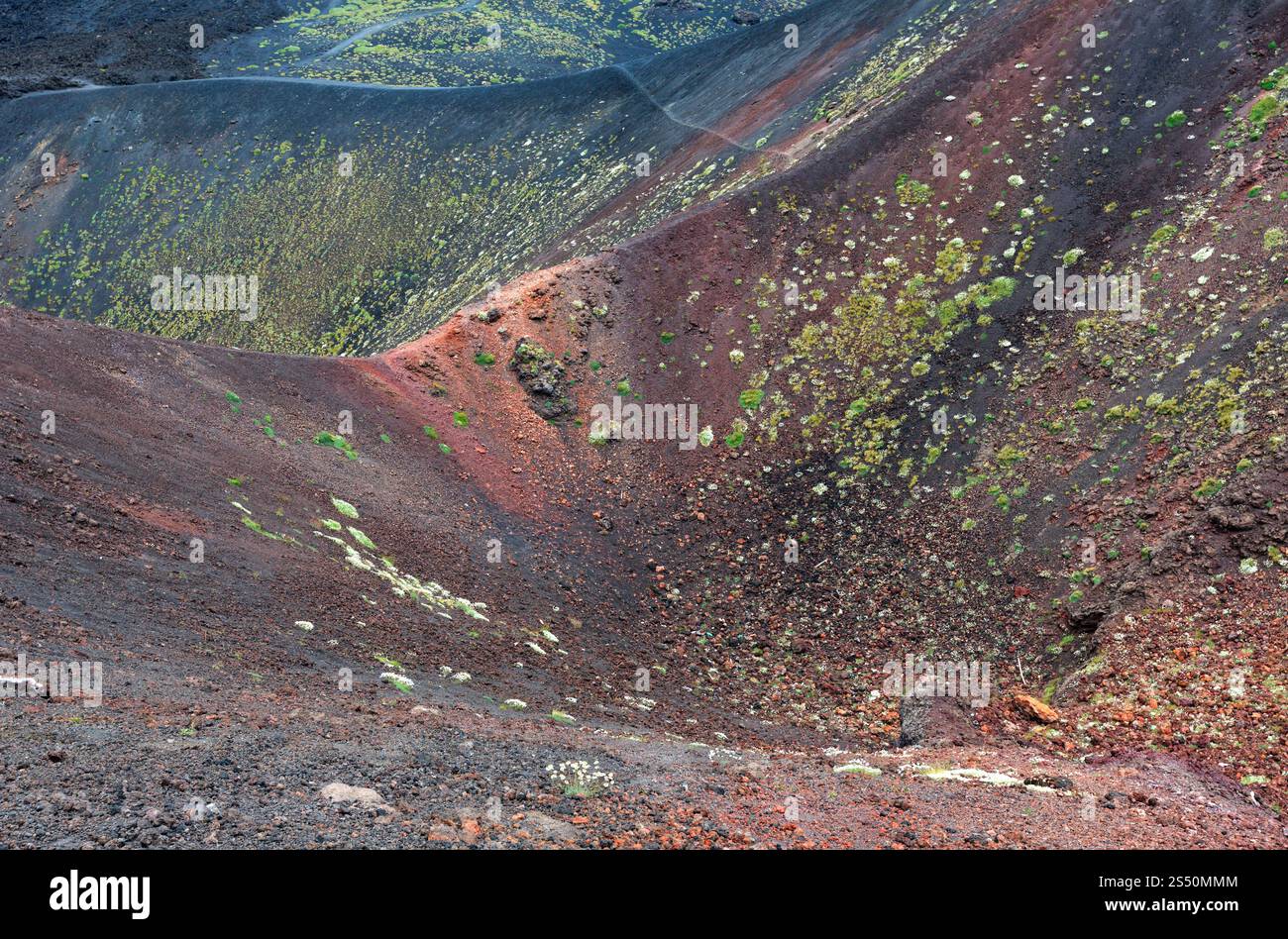 Mount etna and flowers hi-res stock photography and images - Alamy