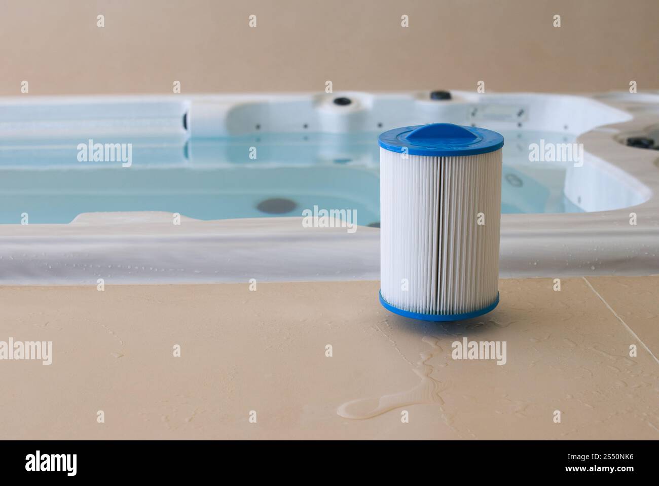 A nearly clean, used pool filter stands in front of a Swim Spa pool ...