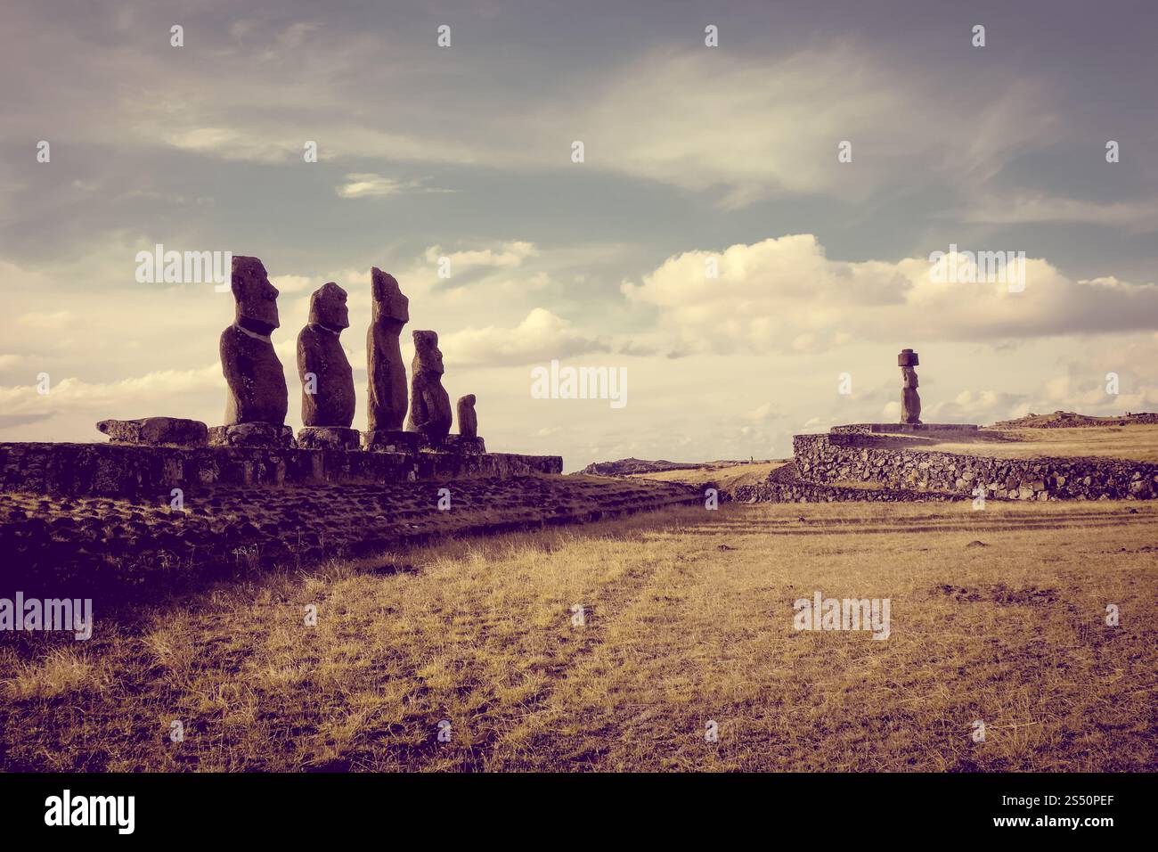 Moais statues, ahu ko te riku, easter island, Chile. Moais statues, ahu ...
