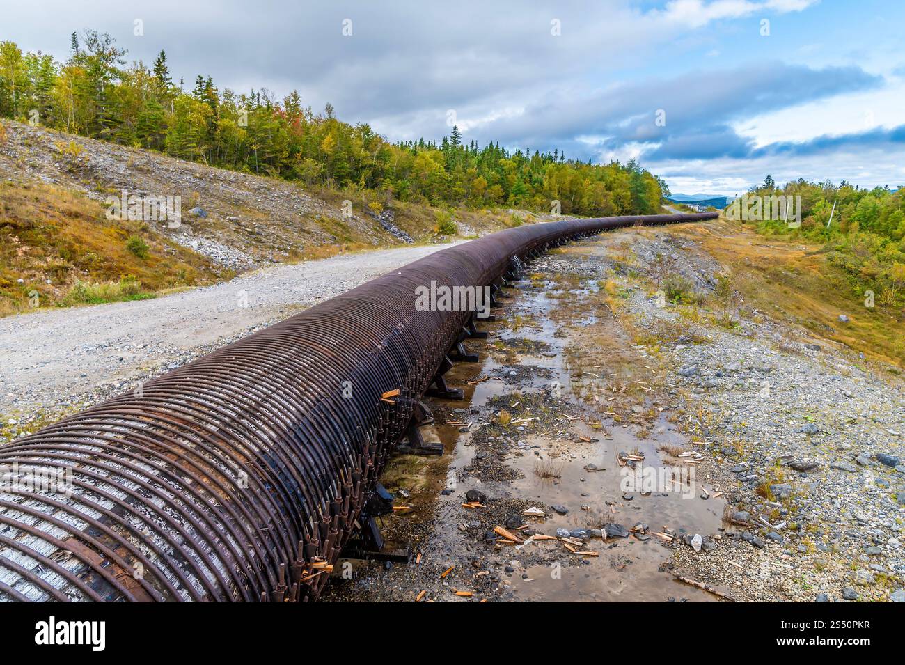A view westward of a long snaking wooden-stave water pipe above Corner ...