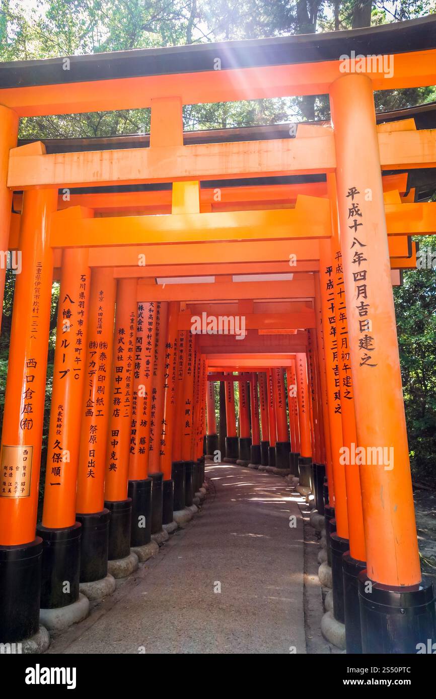 Fushimi Inari Taisha torii shrine, Kyoto, Japan. Fushimi Inari Taisha torii, Kyoto, Japan Stock ...
