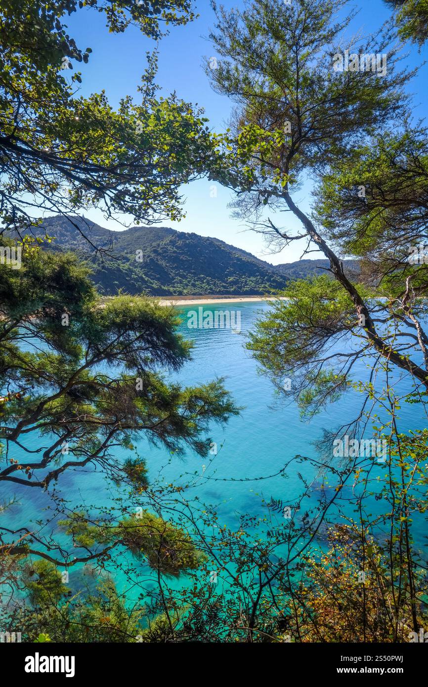 See view from Abel Tasman Coast Track in national park. New Zealand ...