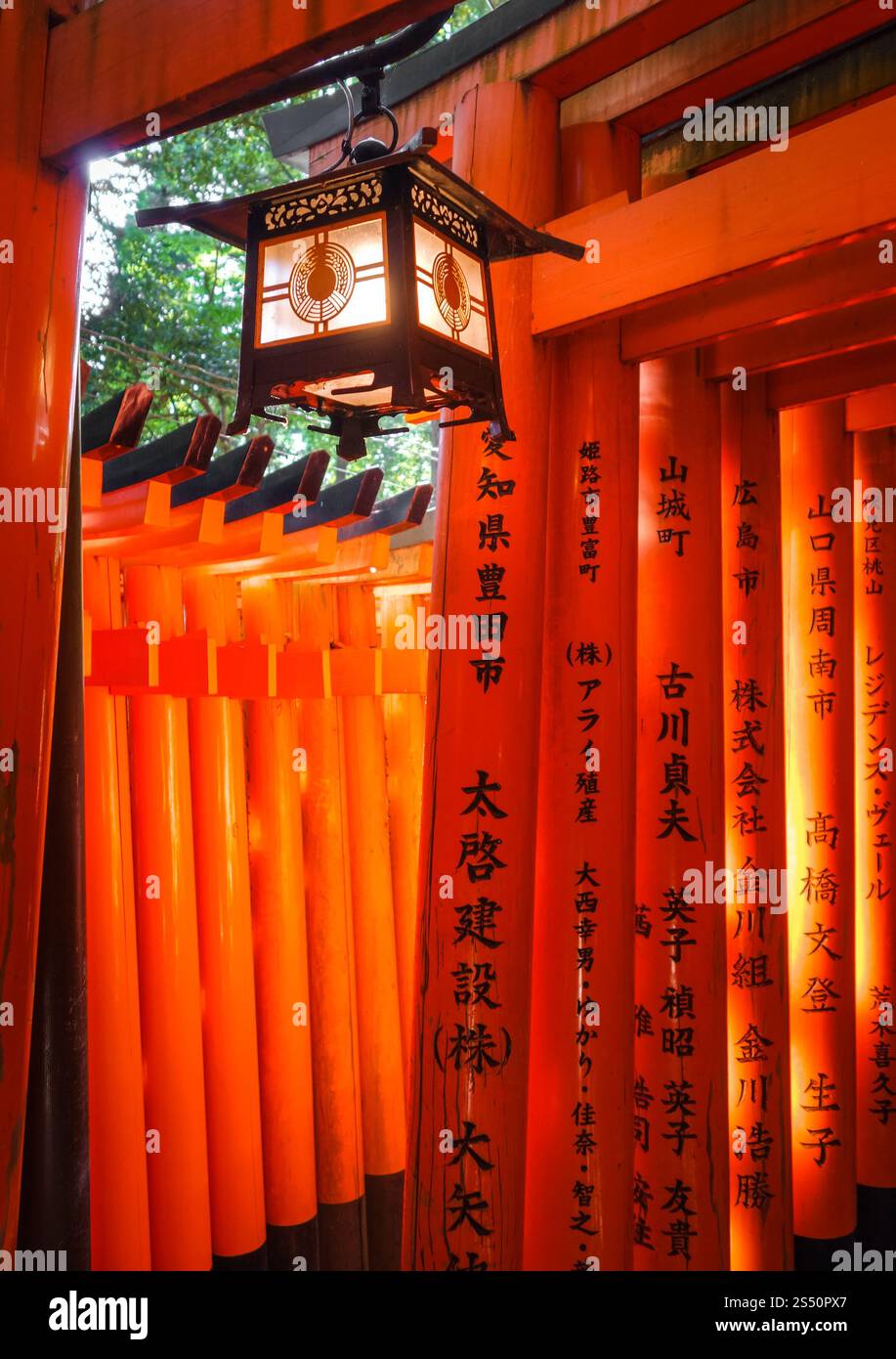 Traditional lantern in Fushimi Inari Taisha shrine, Kyoto, Japan ...