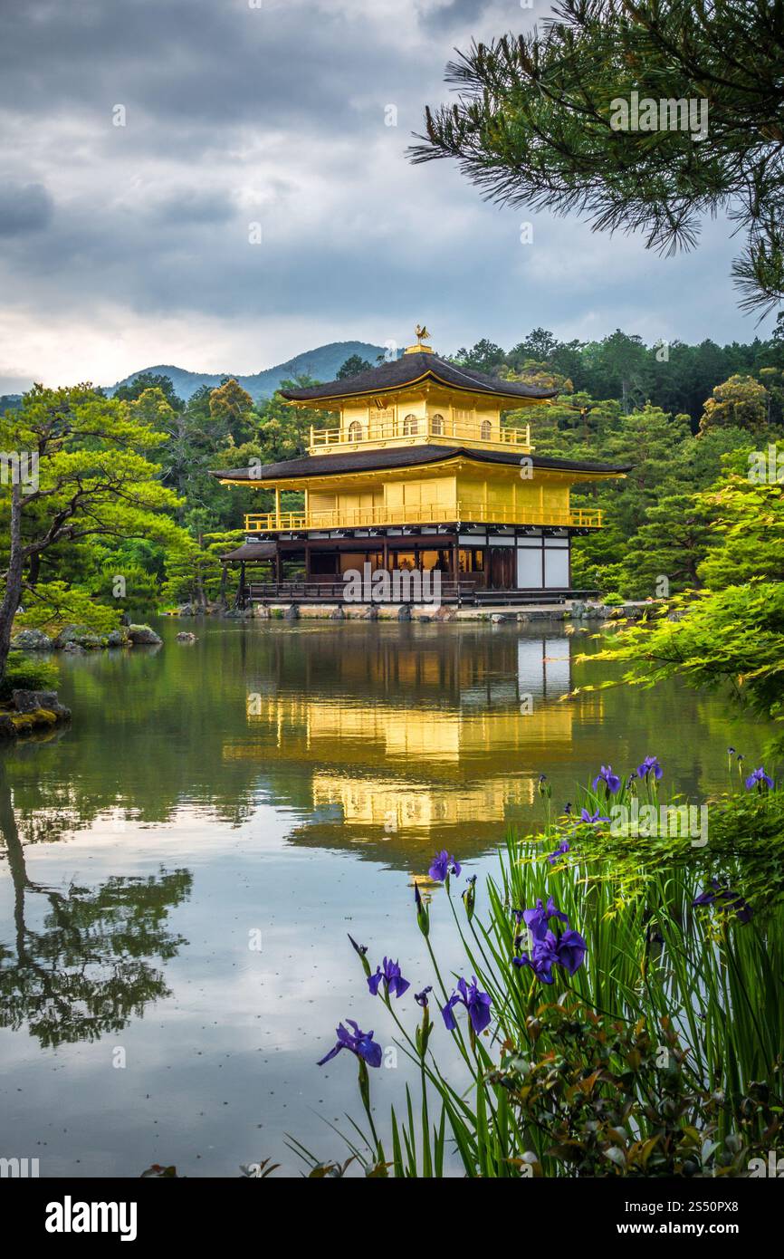 Kinkaku-ji golden temple pavilion in Kyoto, Japan. Kinkaku-ji golden ...