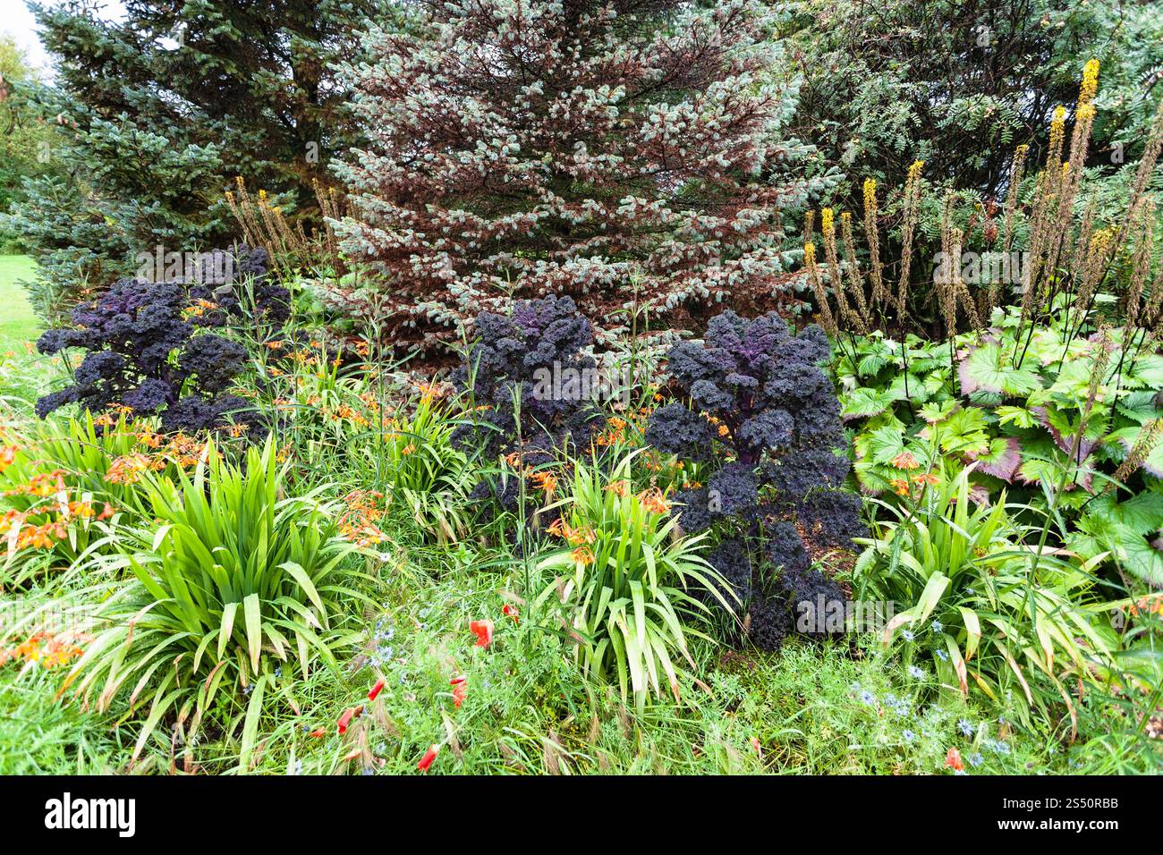 travel to Iceland - lush vegetation urban public family park in ...
