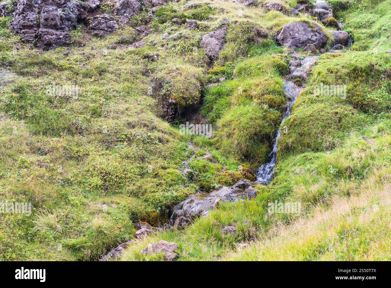 travel to Iceland - hot stream in Hveragerdi Hot Spring River Trail ...