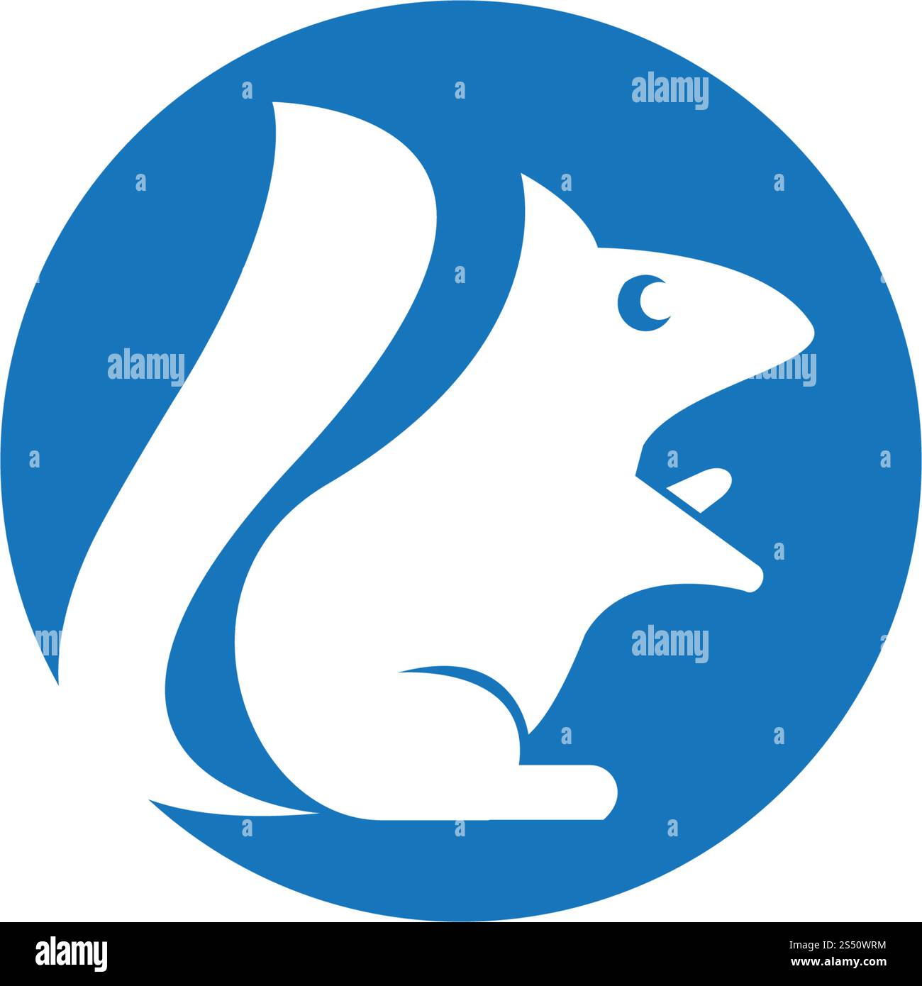 Squirrel logo vector template design Stock Vector Image & Art - Alamy