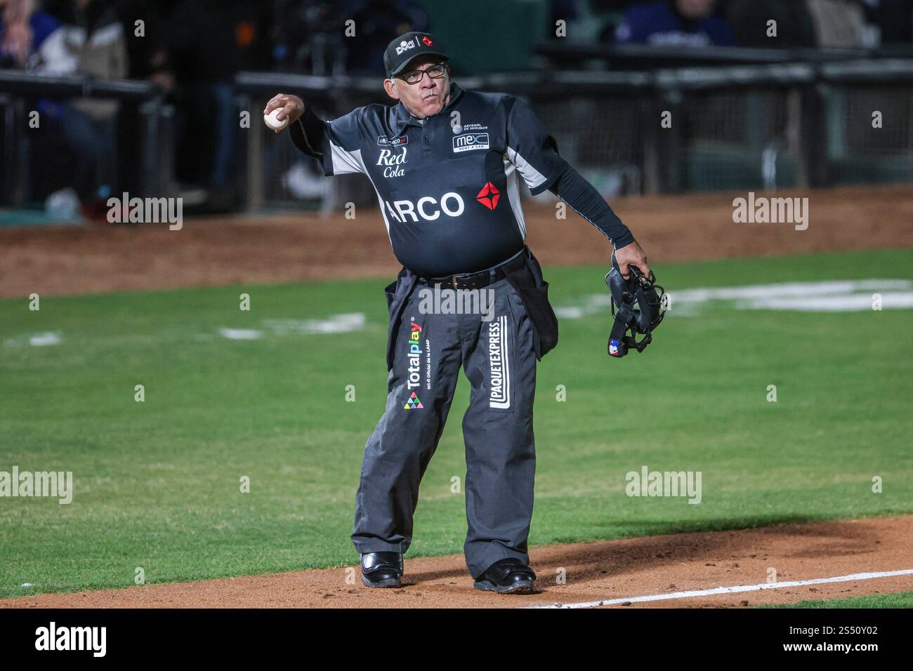 HERMOSILLO, MEXICO - JANUARY 8: Ampayer, umpire during the game 6 of ...