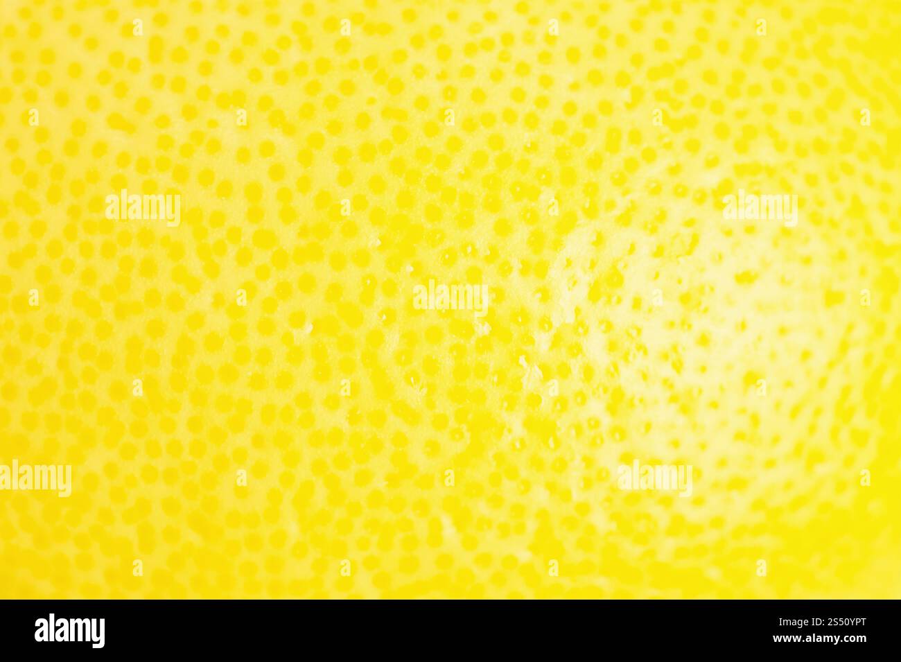 Lemon texture as a background macro photo Stock Photo - Alamy