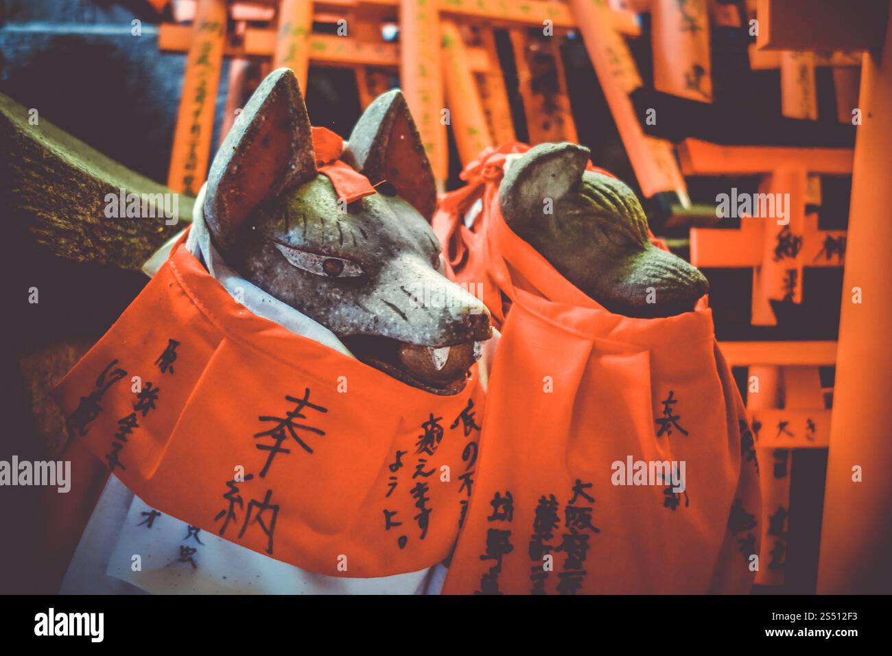 Fox statues at Fushimi Inari Taisha torii shrine, Kyoto, Japan. Fox ...